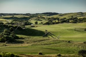 Moonah Course • The National Golf Club