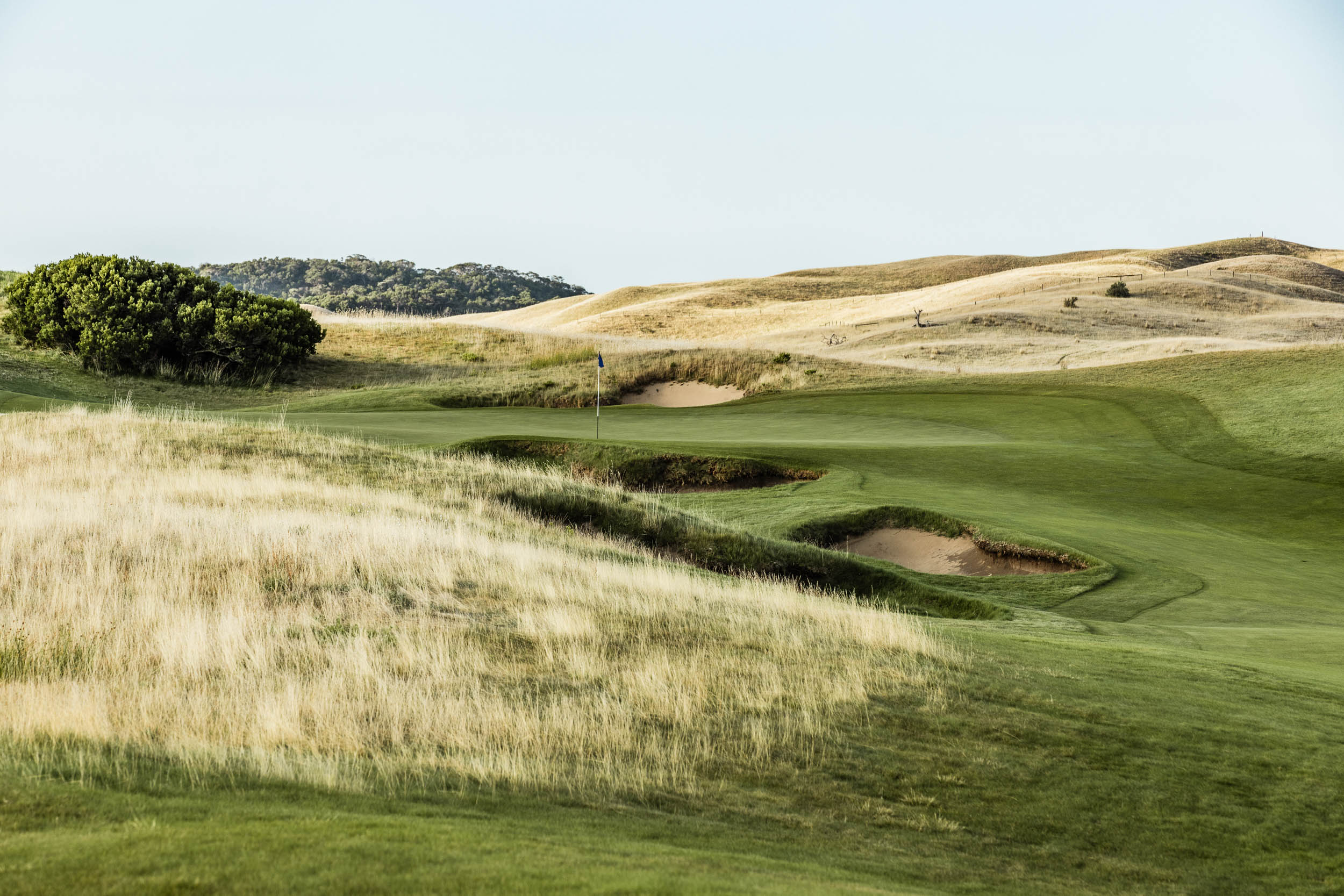 Bob Harrison on Moonah • The National Golf Club